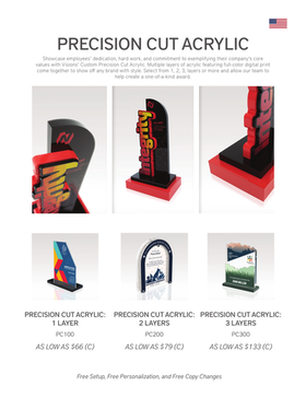 Flyers - visionsawards.com